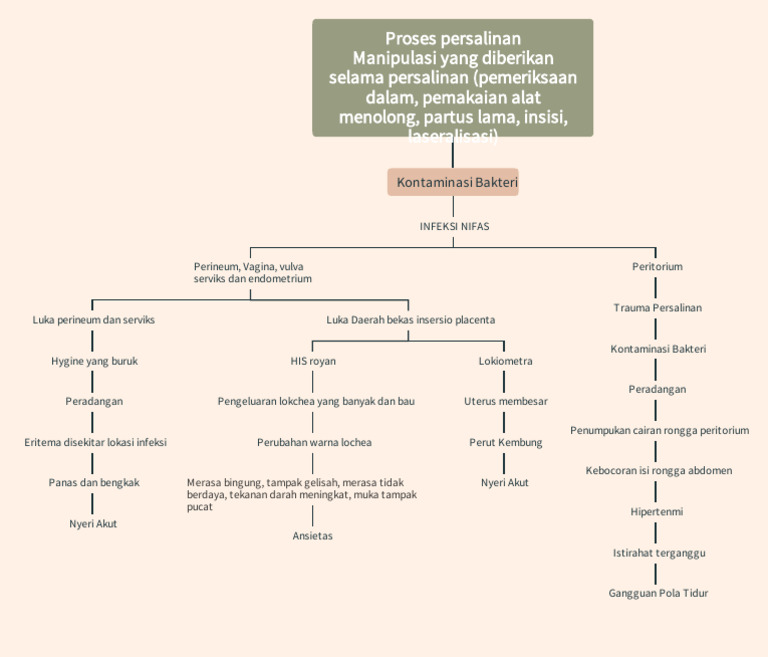 Proses Persalinann | PDF