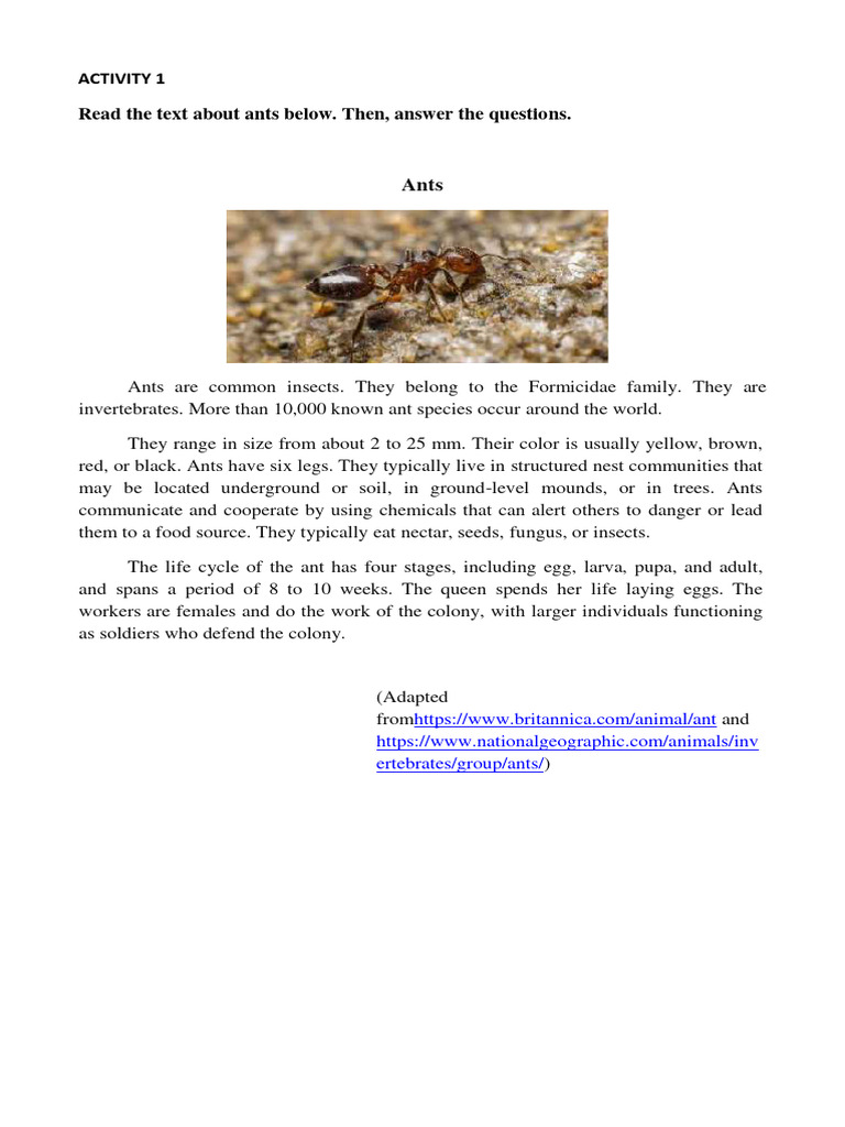 Ant - Part of Text | PDF