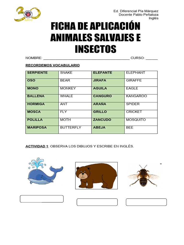 Vocabulario de Animales e Insectos en Inglés | PDF | Insectos | Hexapoda