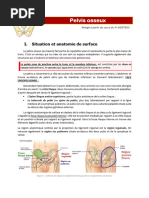 Anatomie du Corps Géniculé Latéral | PDF | Système visuel | Vision