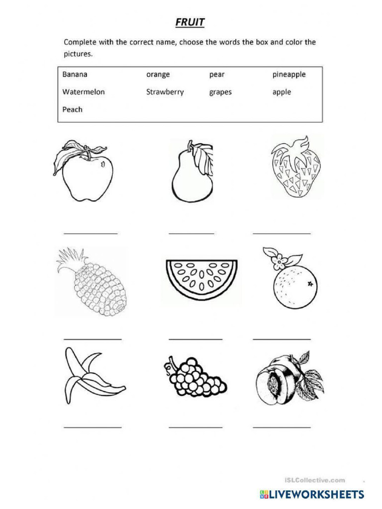 Worksheet Fruit | PDF