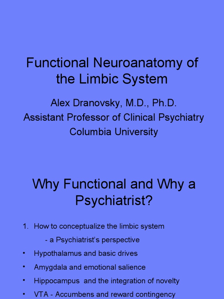 Limbic System | PDF | Limbic System | Hippocampus
