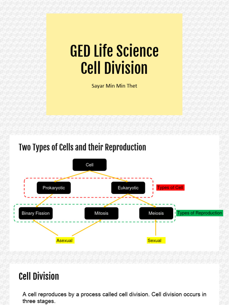 Cell Division | Download Free PDF | Meiosis | Mitosis