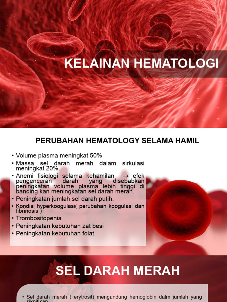 Kelainan Hematologi | PDF