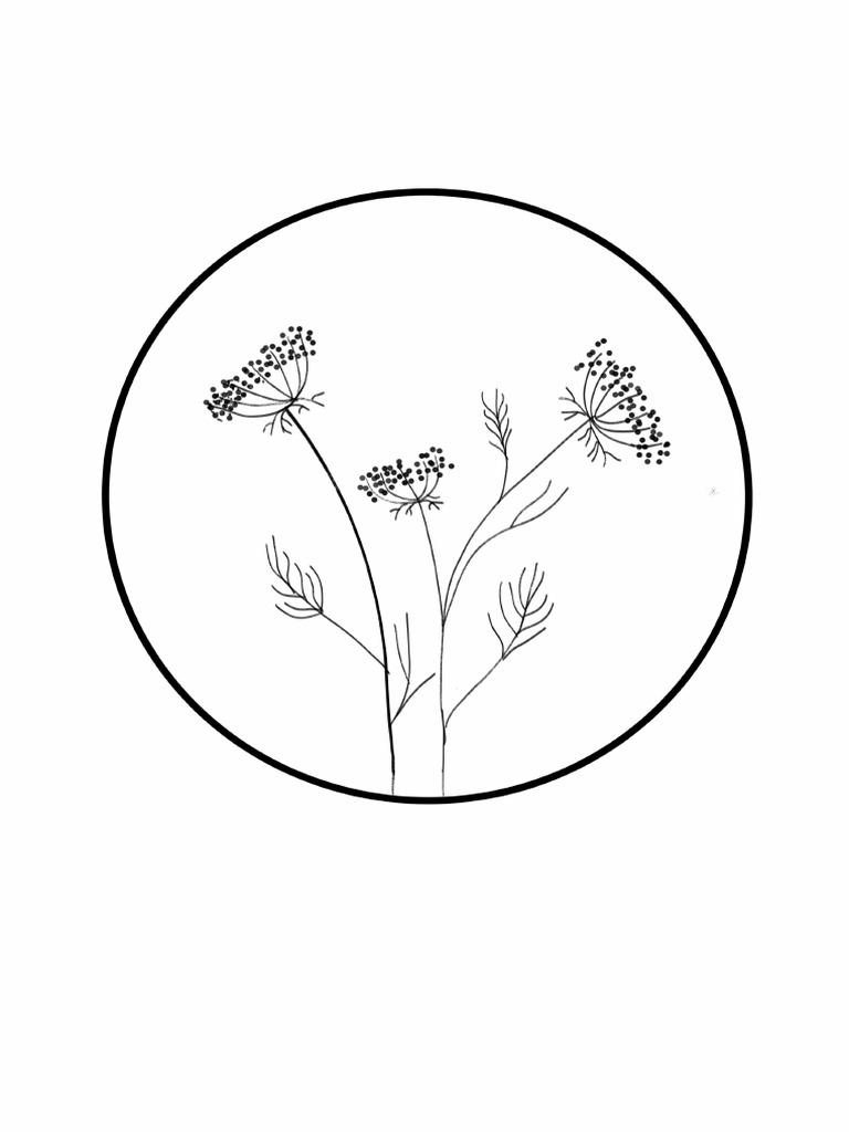 Materi Tracing Practice | PDF