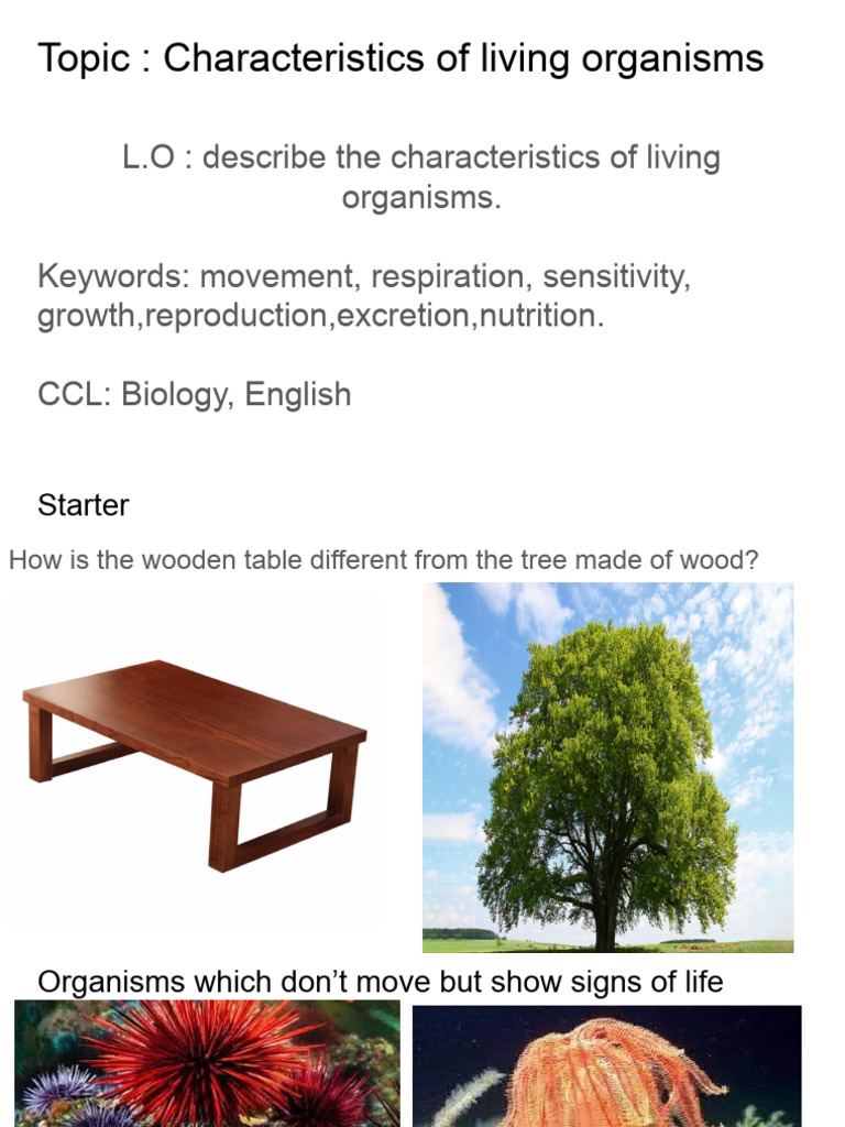 Characteristics of Living Organisms - Objective 1 | PDF Characteristics of Living Organisms - Objective 1 | PDF
