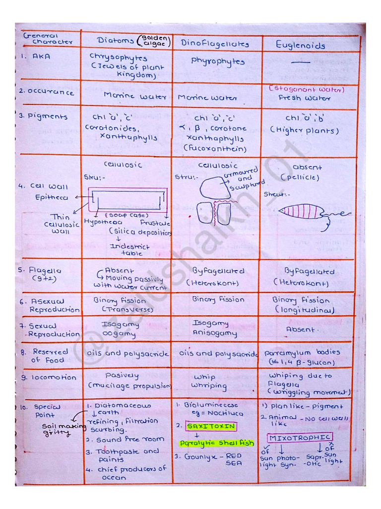 Biological Classification Important Tables | PDF