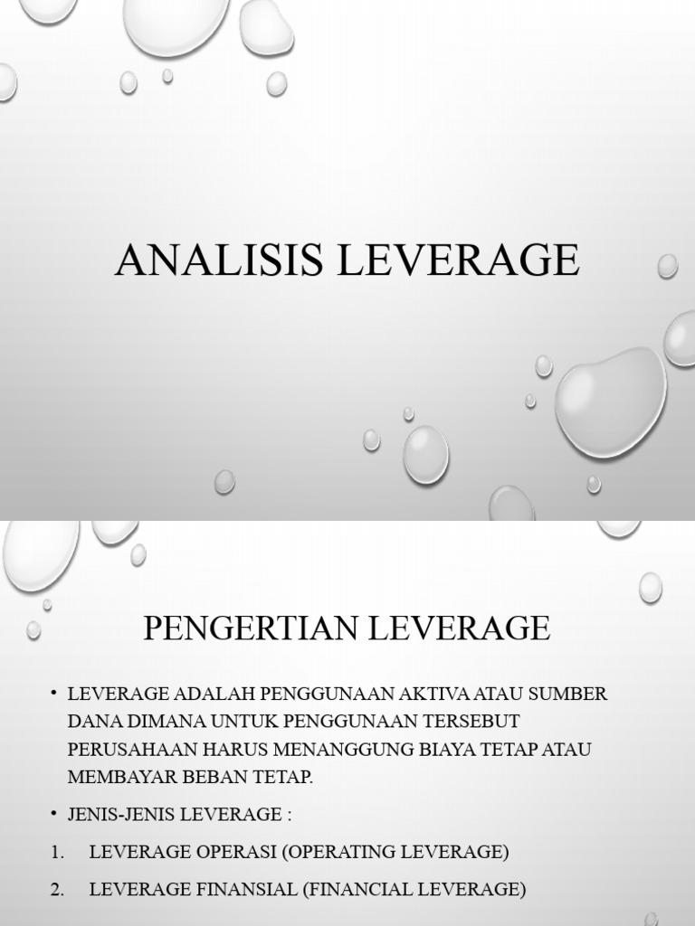 Analisis Leverage | PDF