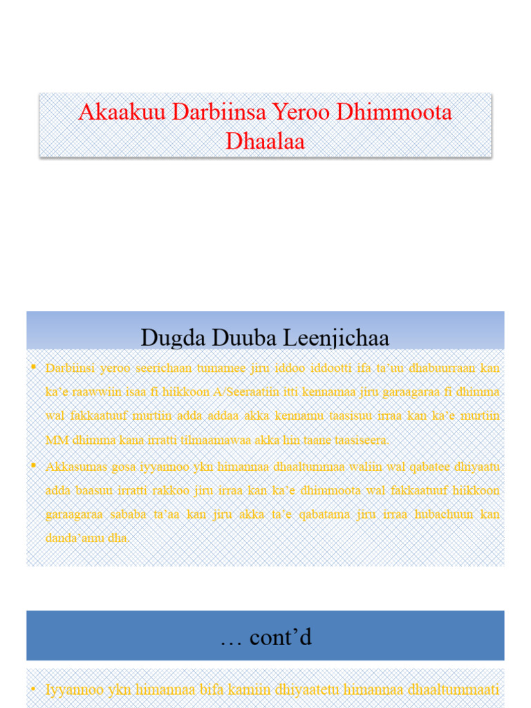 Darbiinsa Yeroo Seera Dhaalaa | PDF