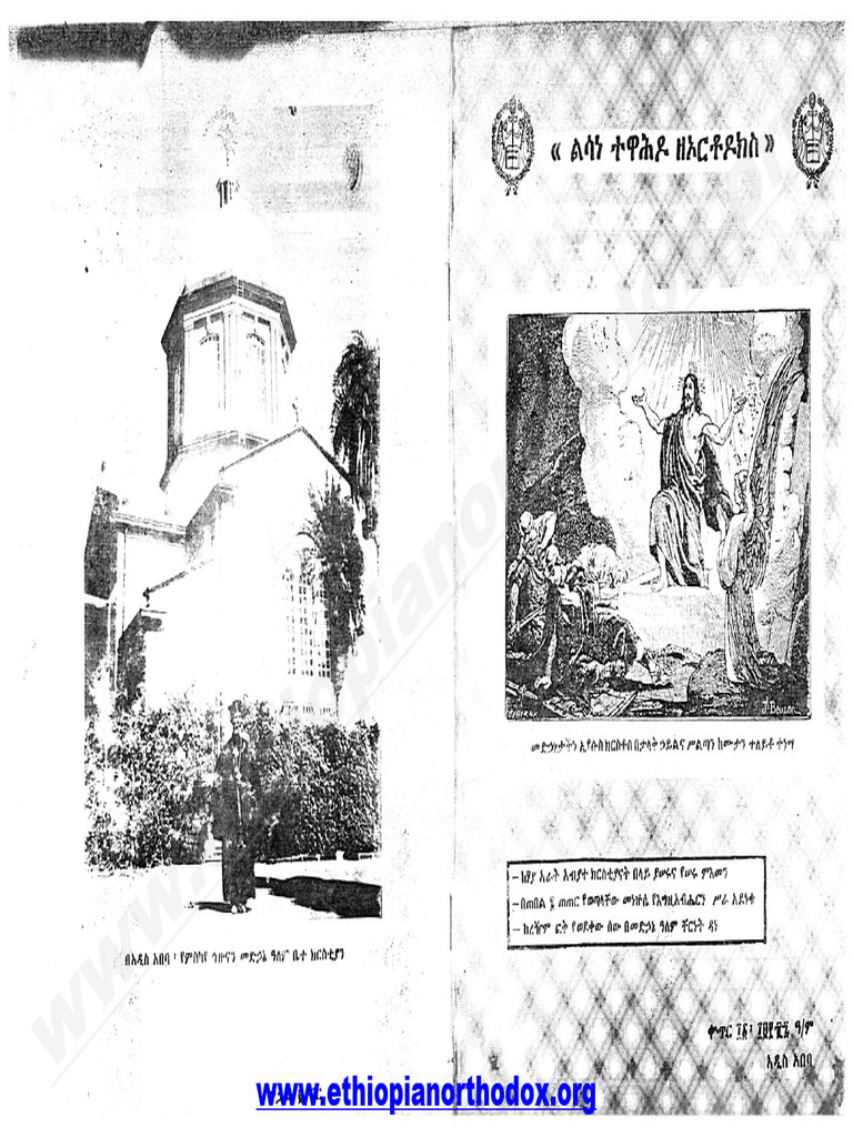 Megazine Pdf