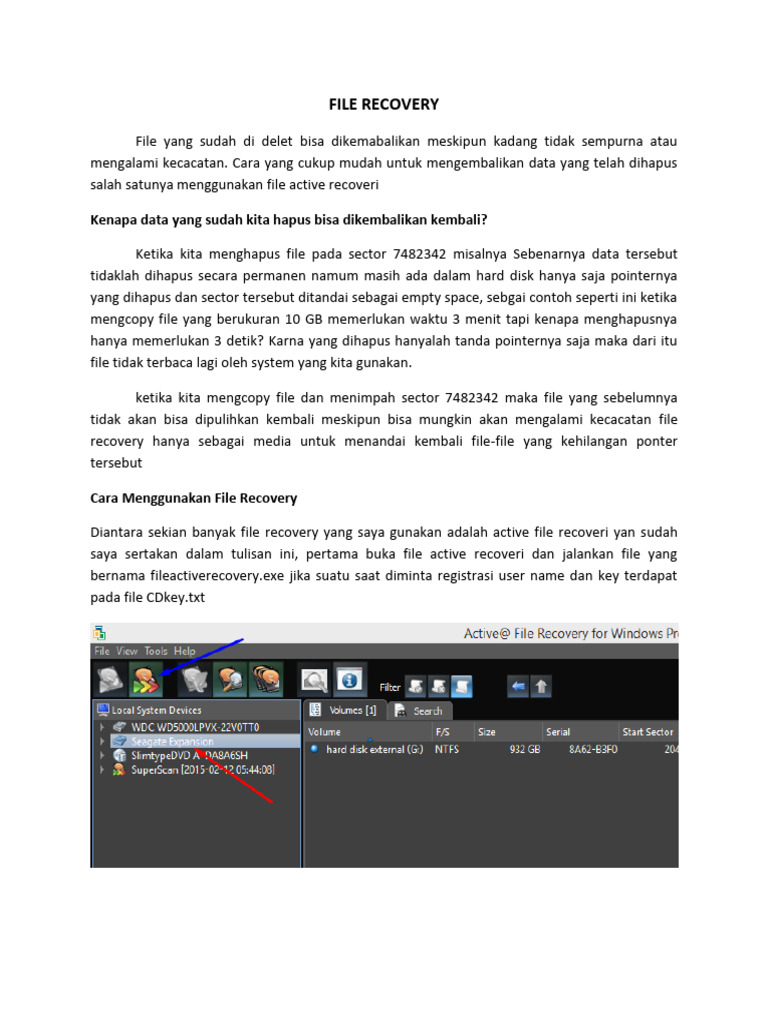 Cara Menggunakan File Recovery Aktif | PDF