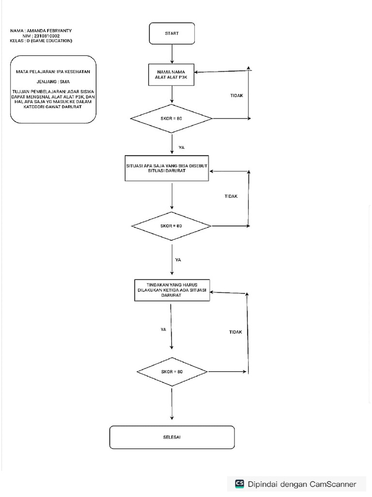 Amanda Flowchart | PDF