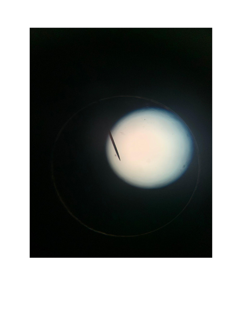 Celulas, Naima | PDF