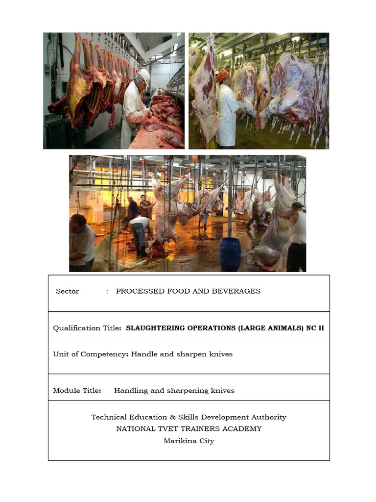 Slaughtering Operations NC II Training Guide | PDF | Knife | Blade