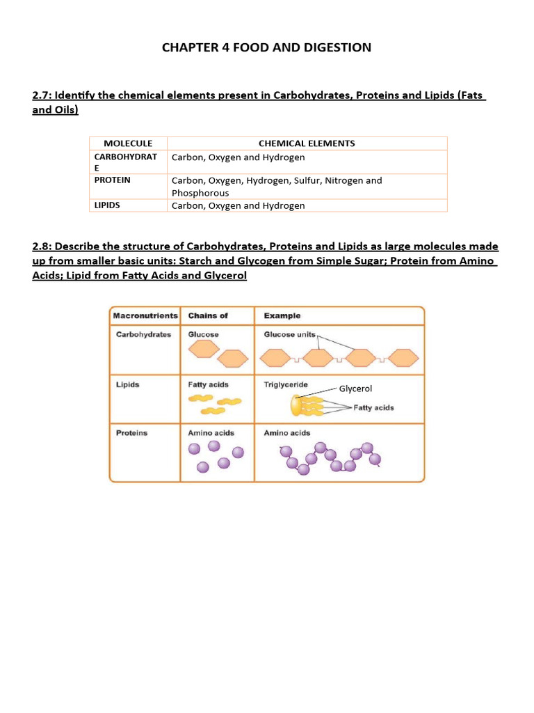 Chapter 4 Notes Igcse Edexcel Biology | PDF | Digestion | Bile