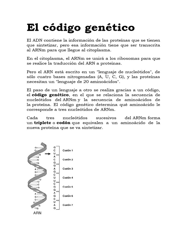 El Código Genético | PDF