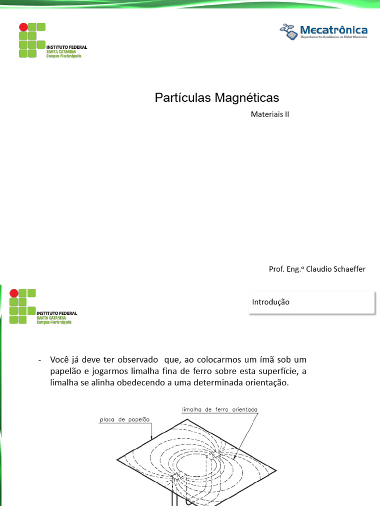 02 03 Partículas Magnéticas | PDF
