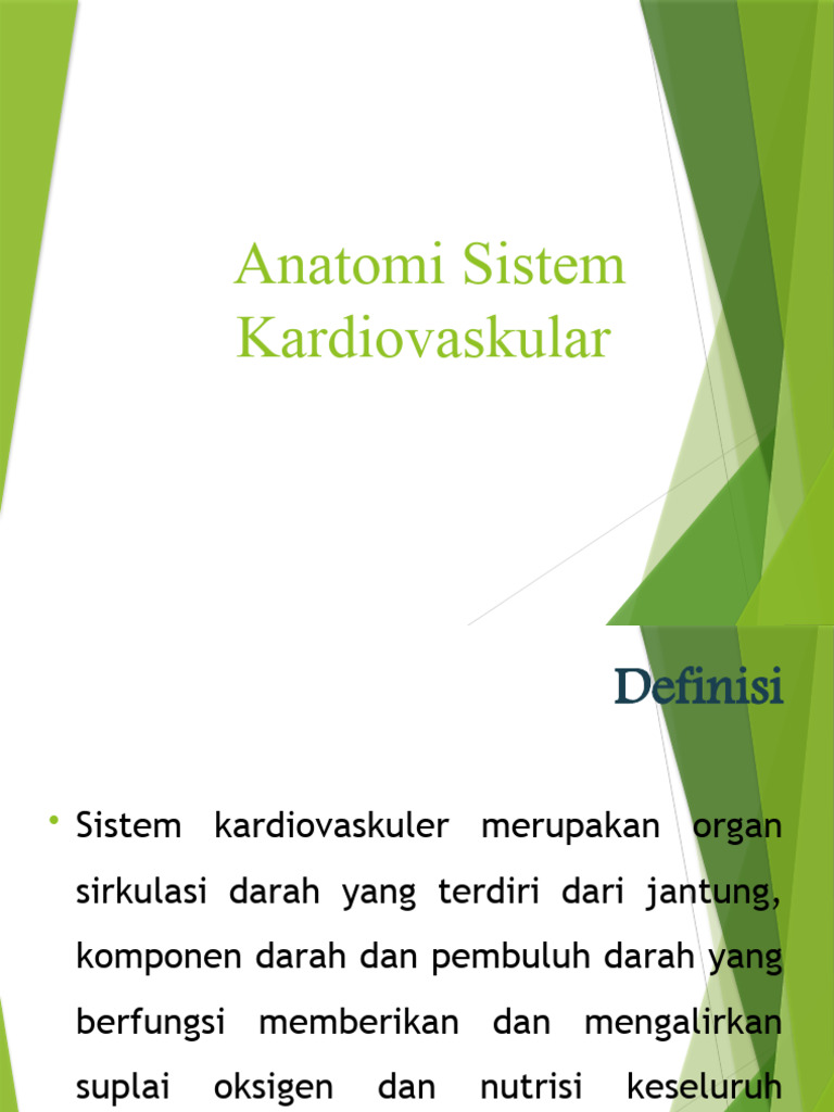 Anatomi Sistem Kardiovaskular | PDF