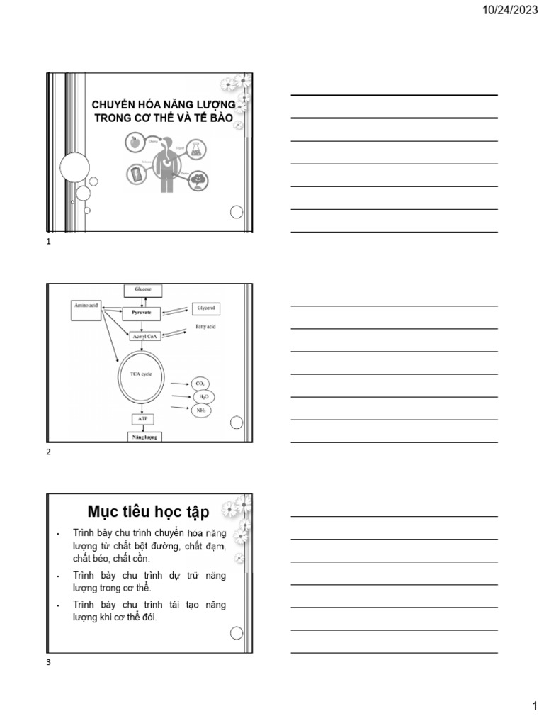 Chuyen Hoa Nang Luong - CNDD2022-24.10.2023 | PDF