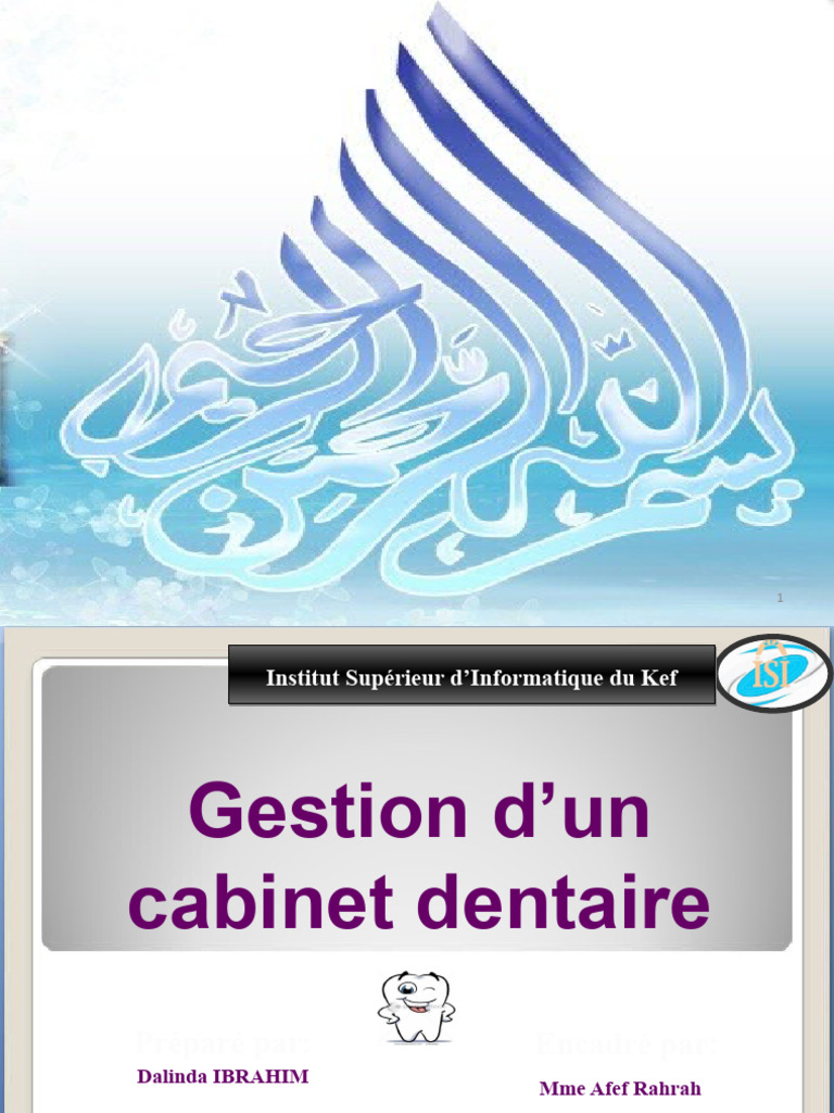 Pfa Dalinda | PDF | Application | Informatique