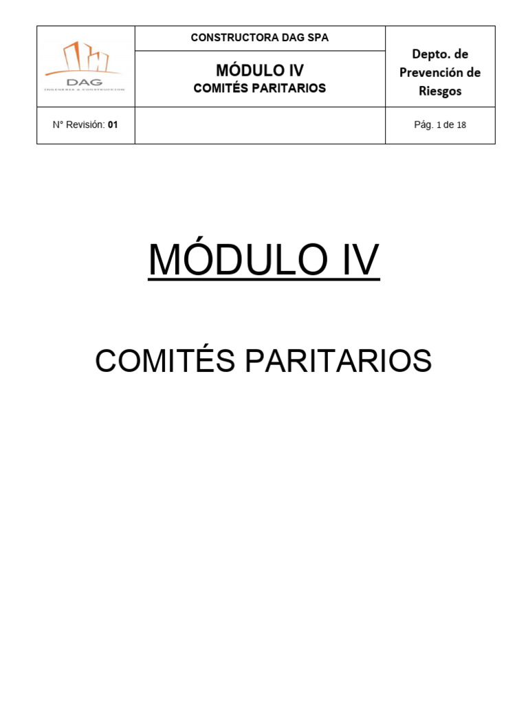 Programa de Comite Paritario Dag Spa | PDF