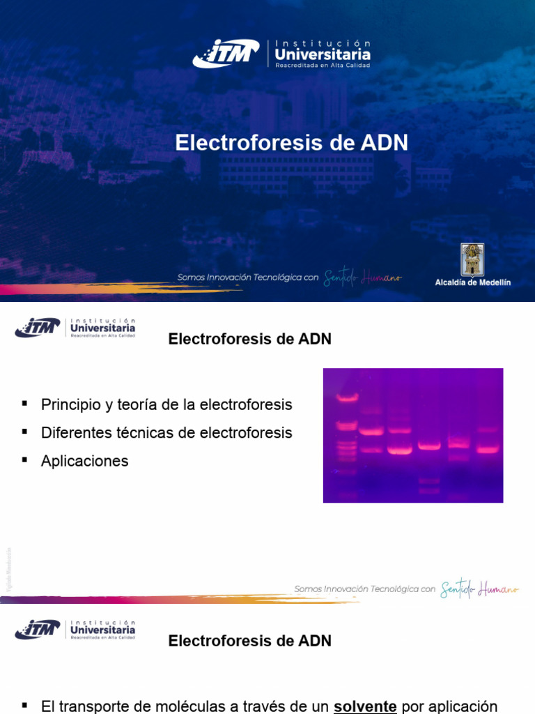 Electroforesis 1 | PDF