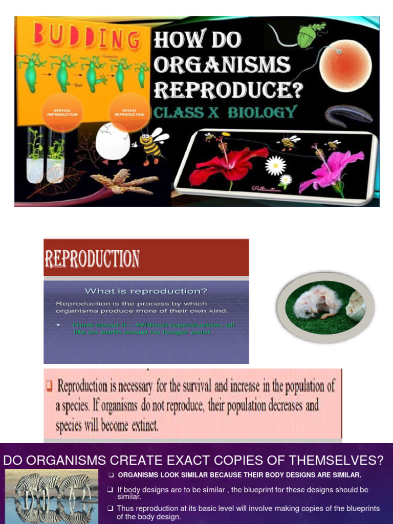 How Do Organisms Reproduce - (Asexual Reproduction) | PDF