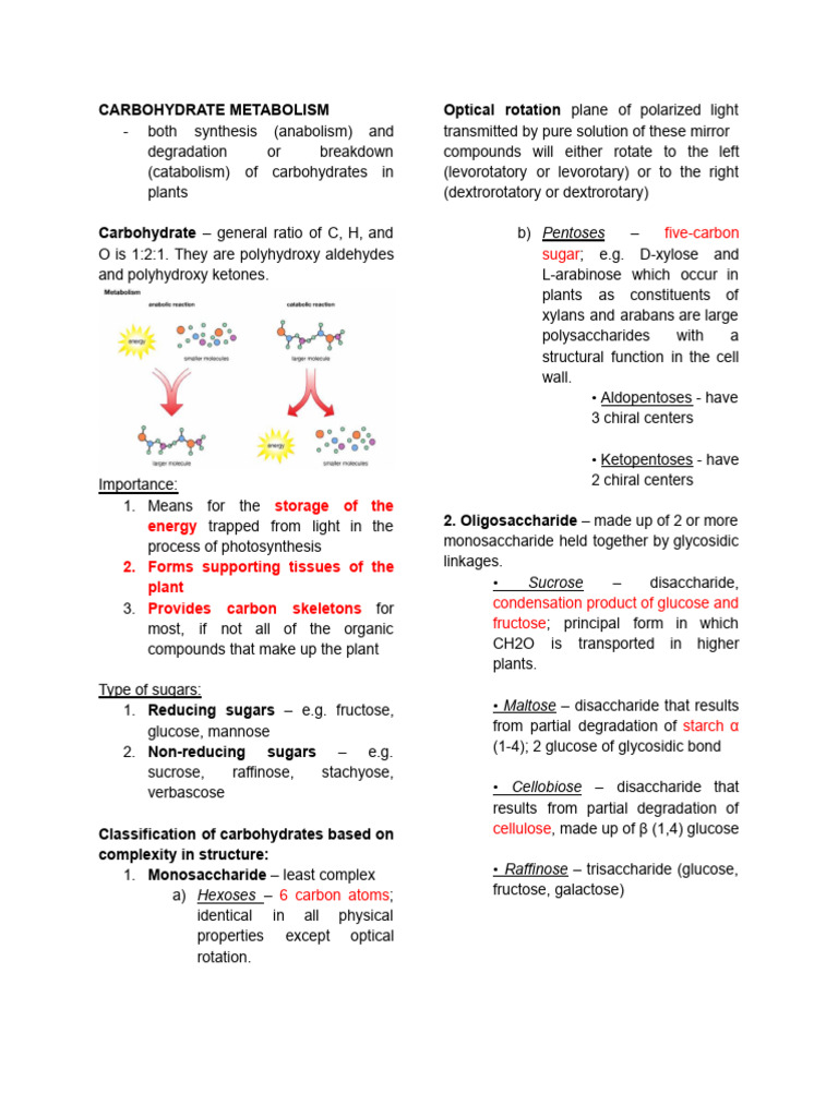Carbohydrate Metabolism | PDF | Cellular Respiration | Carbohydrates