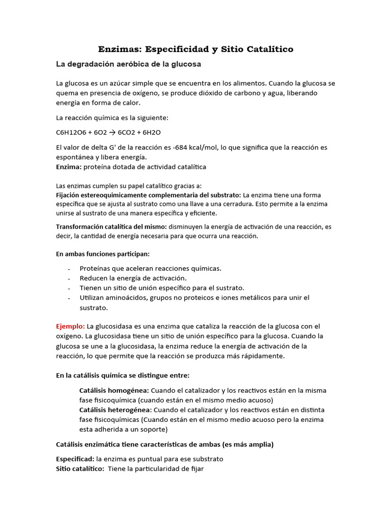 Apuntes Clase 2 Biocatalisis | PDF