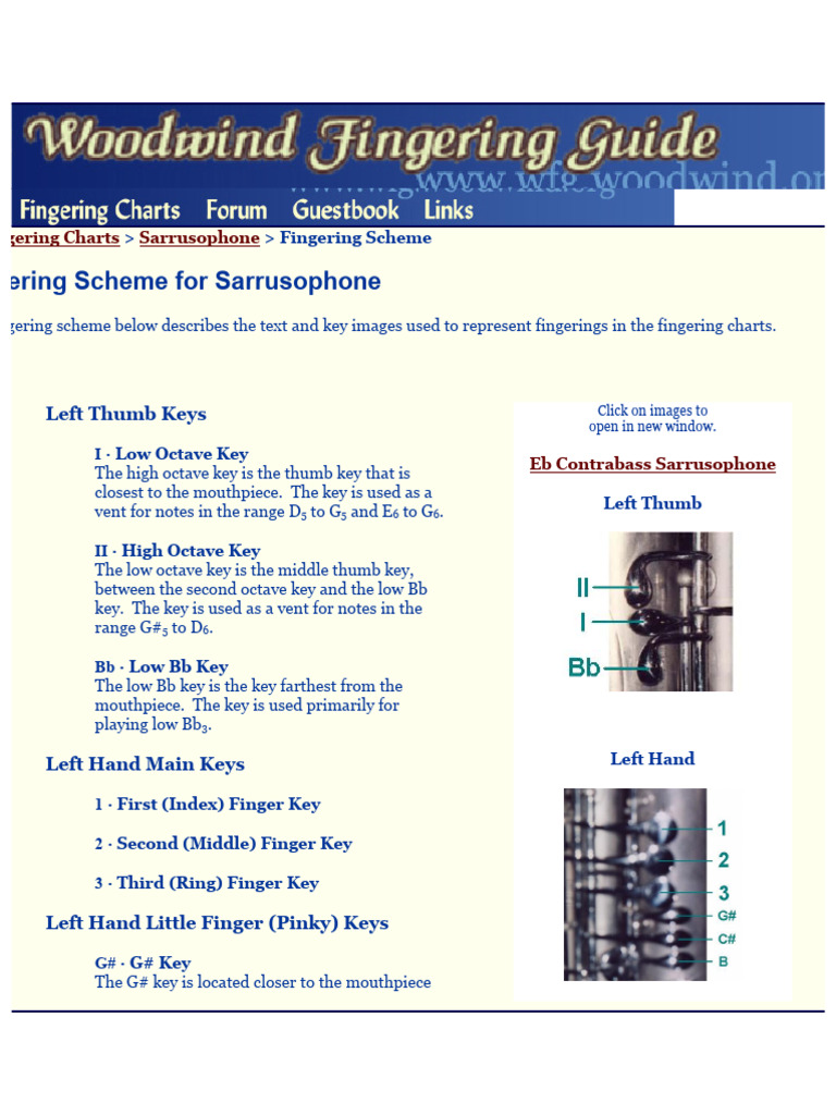 Sarrusophone Information | PDF