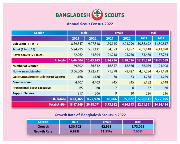 Scout Census 22 | PDF