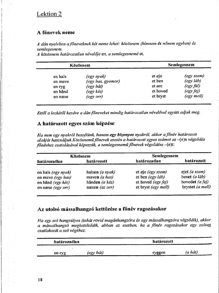 Dán Nyelvtan 2 | PDF