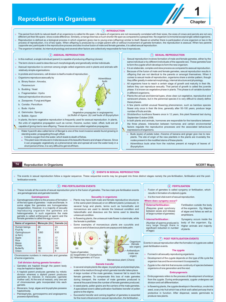 Botany Maps-37-67 | PDF