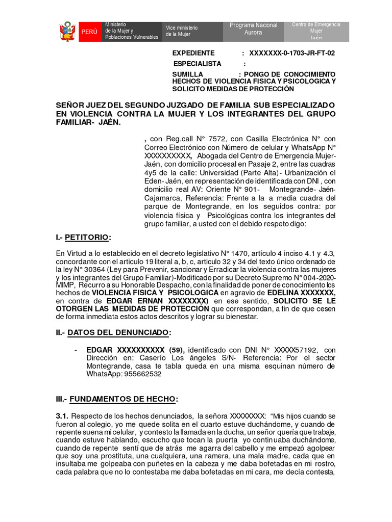 SUBIR | PDF | La violencia contra las mujeres | Justicia