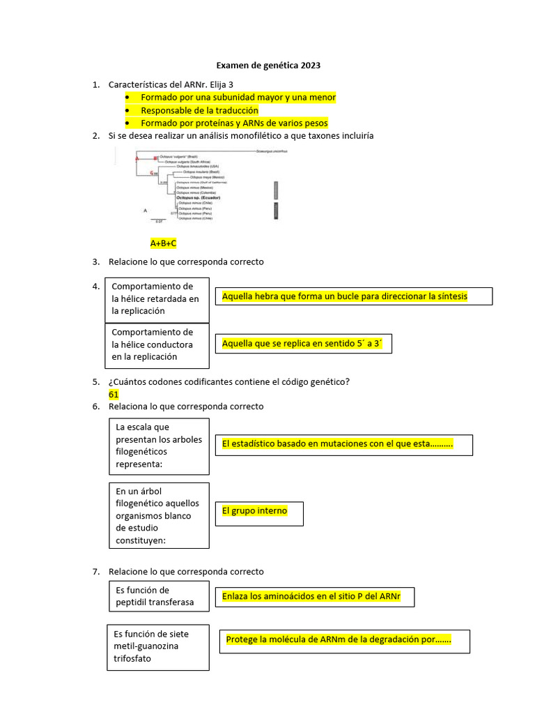 Examen de Genética 2023 | PDF | Adn | Gene