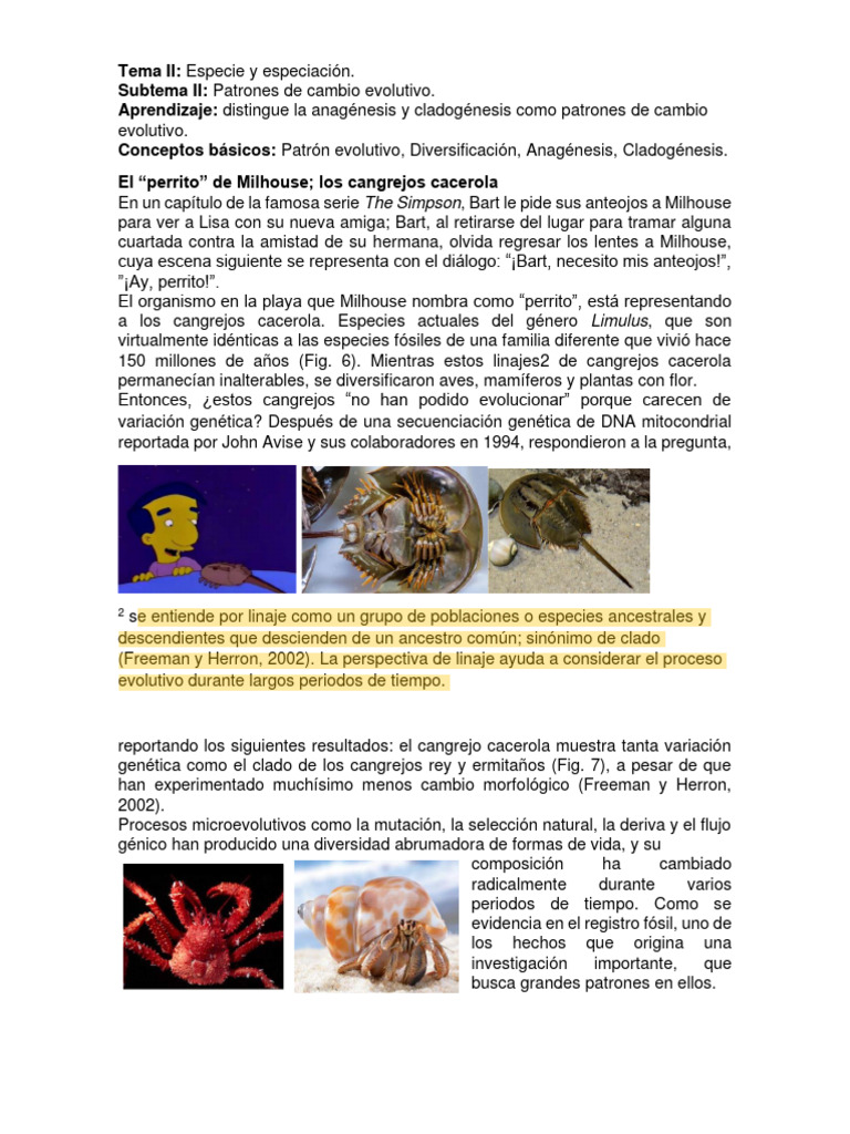 Anagenesis y Cladogenesis | PDF | Evolución | Especies
