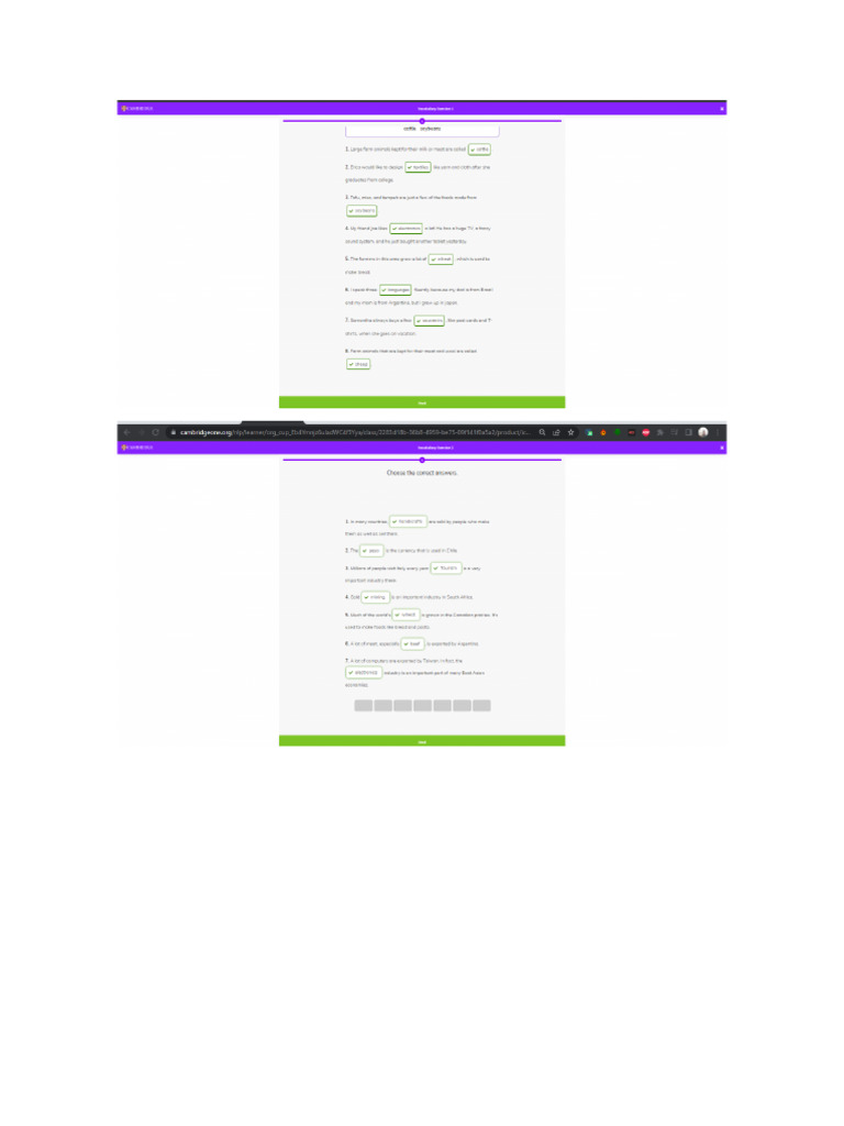 Unidad 11 Cambridge | PDF