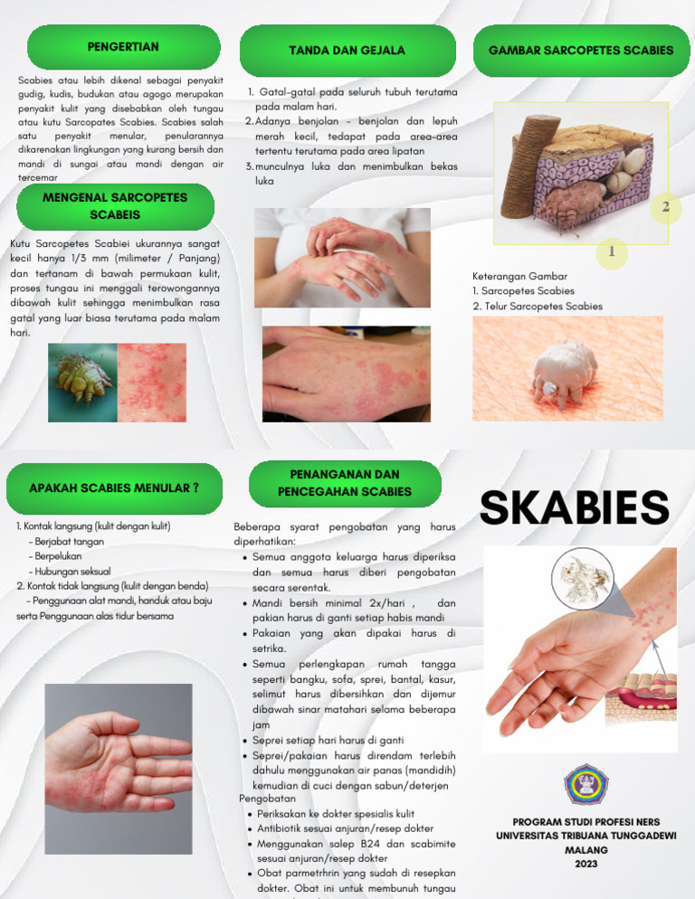 Scabies Itu Apa Sih | PDF