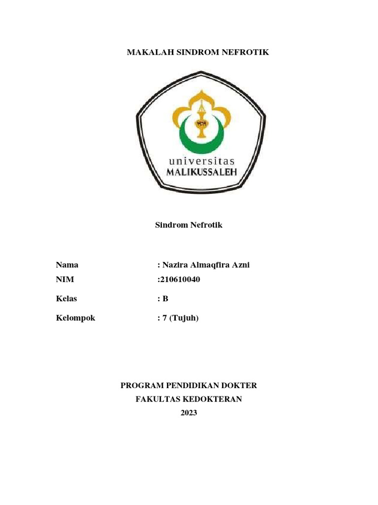 Sindrom Nefrotic | PDF