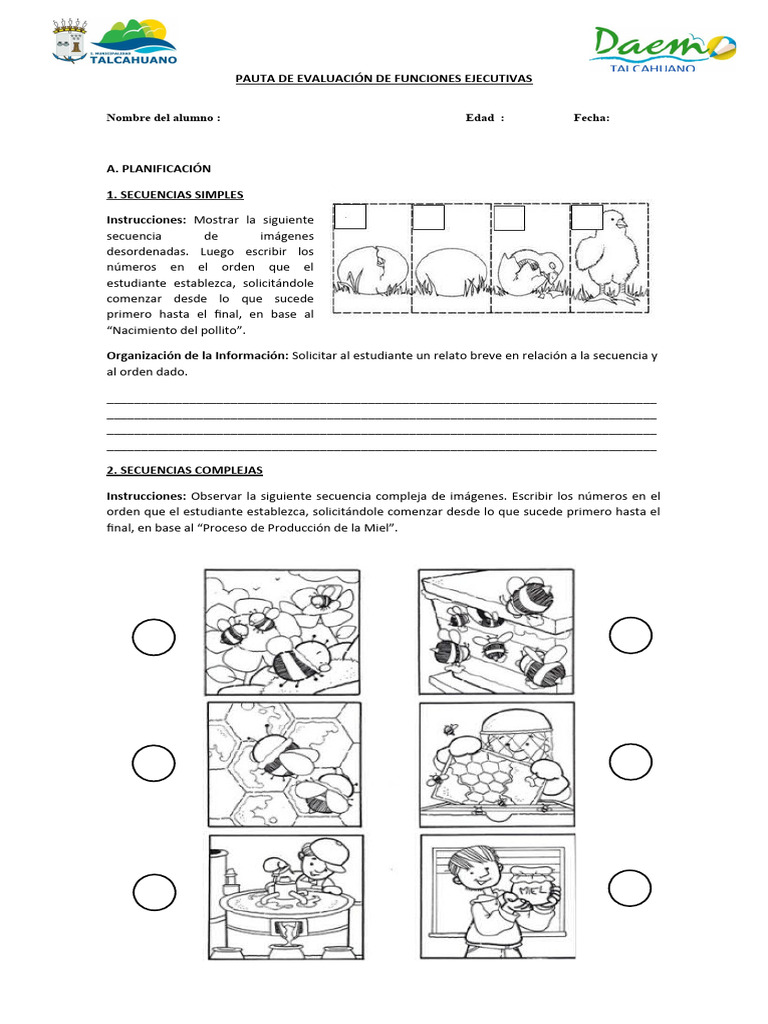 Evaluación de Funciones Ejecutivas | PDF | Cognición