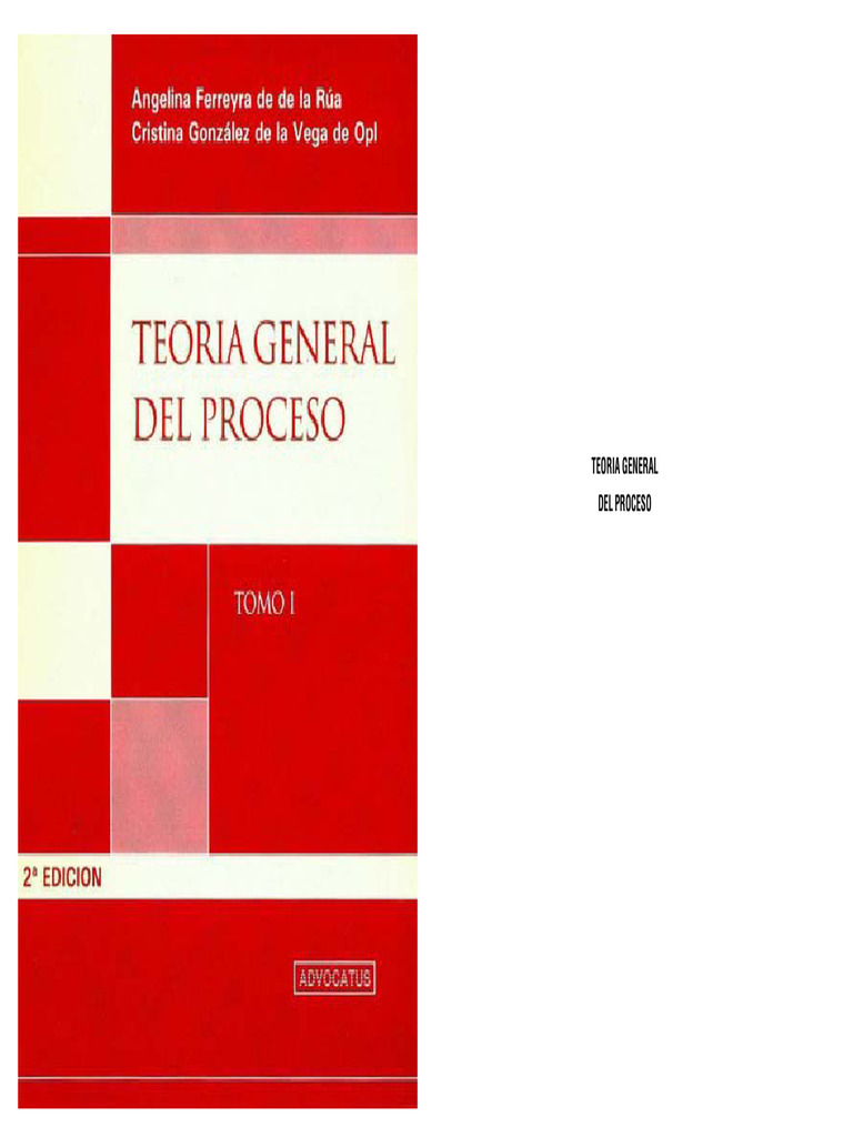 Teoria General Del Proceso. Tomo I. Ferreyra de de La Rua (1) - 1111 | PDF
