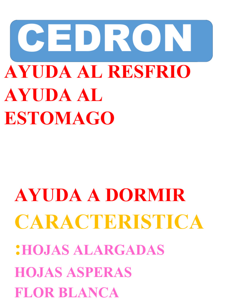 TRABAJO Hojas de Cedro | PDF