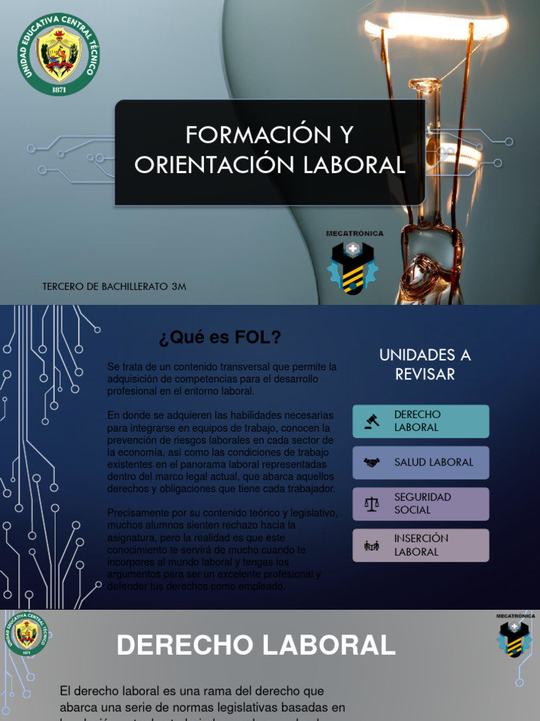 Formación y Orientación Laboral | PDF | Derecho laboral | Economias