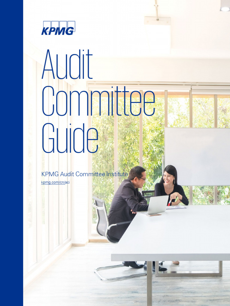 Audit Committee Guide | PDF
