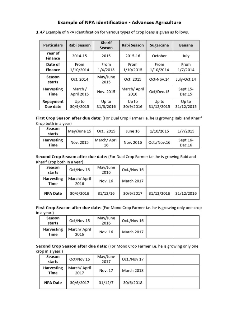 Example of NPA Identification | PDF