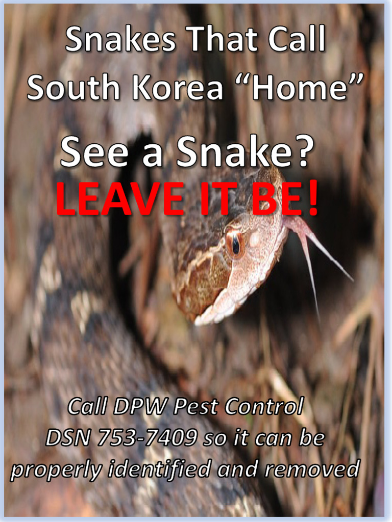 Snakes in Korea | PDF | Snake