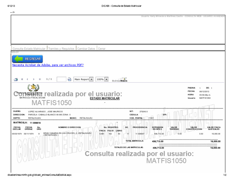 DICABI - Consulta de Estado Matricular | PDF