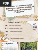 Sabana Húmeda Con Palmeras (Pampas Del Heath) | PDF | Deforestación ...