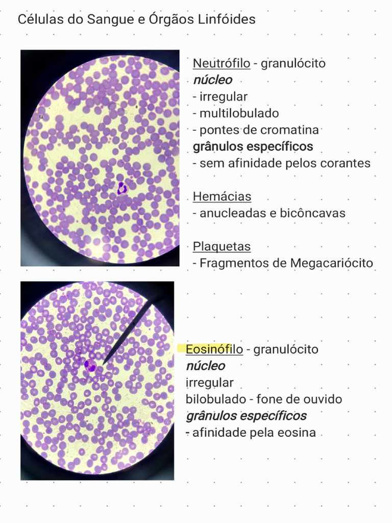 PP2 230627 143408 | PDF