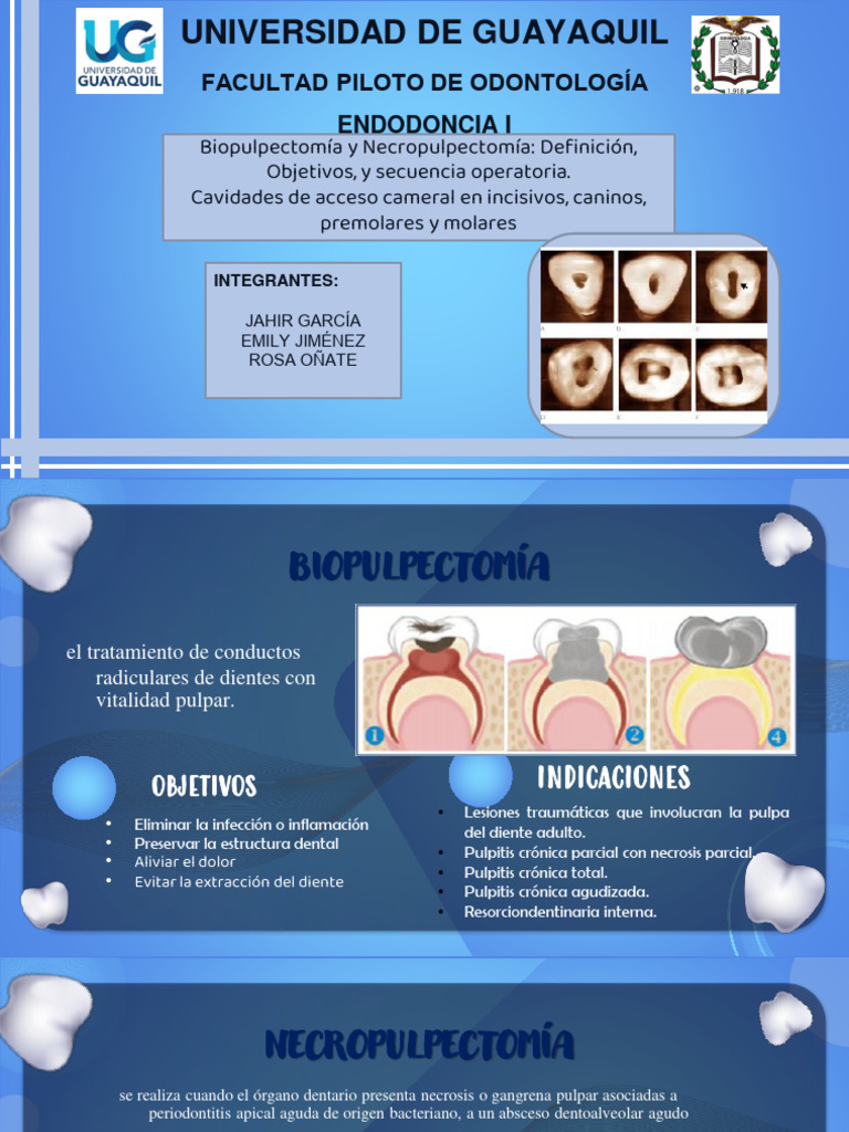 Biopulpectomía y Necropulpectomía | PDF | Anatomia dental | Boca